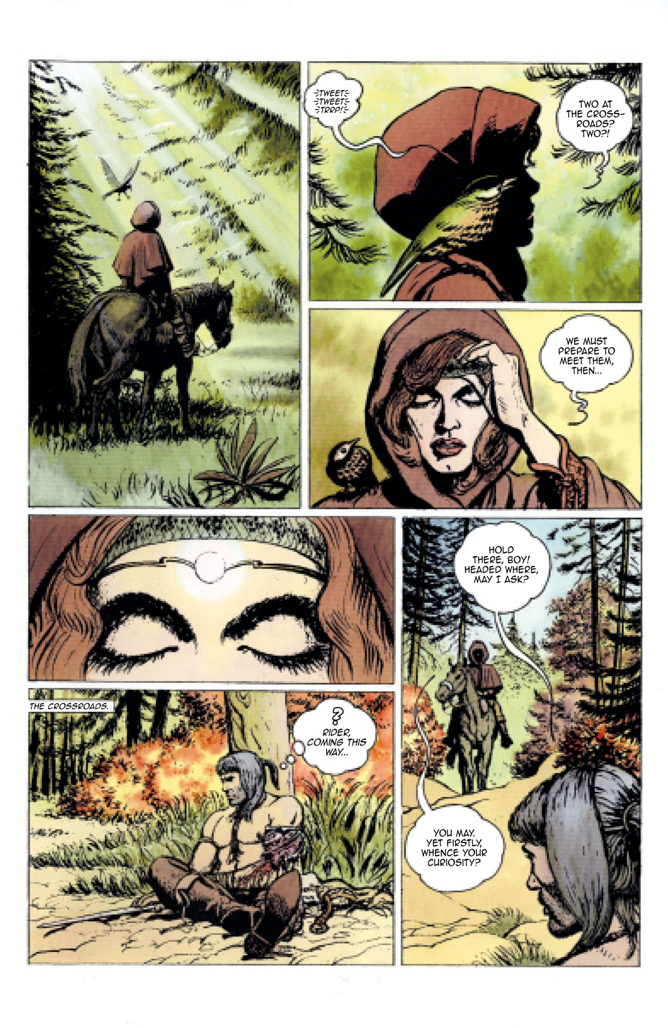 The Witcher: Classic Collection TPB :: Profile :: Dark Horse Comics